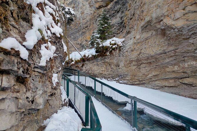Peyto Lake Lake Louise Johnston Canyon Bow Lake from Calgary - Crowfoot Glacier: A Glacial Marvel