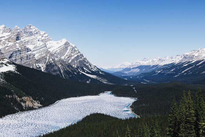 Peyto Lake Lake Louise Johnston Canyon Bow Lake from Calgary - Peyto Lake: The Iconic Viewpoint