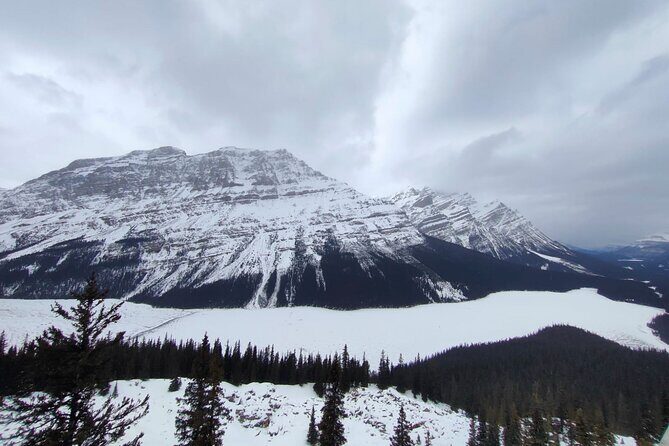 Peyto Lake Lake Louise Johnston Canyon Bow Lake from Calgary - What’s Included and What’s Not