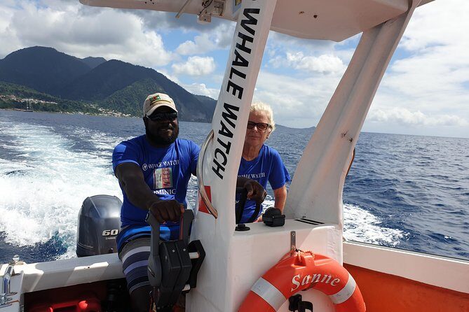 PH Whale Watch & Dolphin Cruise in Dominica - Who Will Love This Experience?