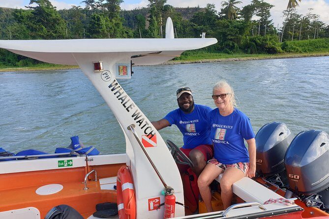 PH Whale Watch & Dolphin Cruise in Dominica - Frequently Asked Questions