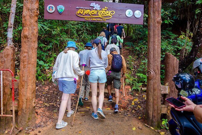 Pha Dok Siew Nature Trail & Doi Inthanon National Park From Chiang Mai - Who Should Consider This Tour?