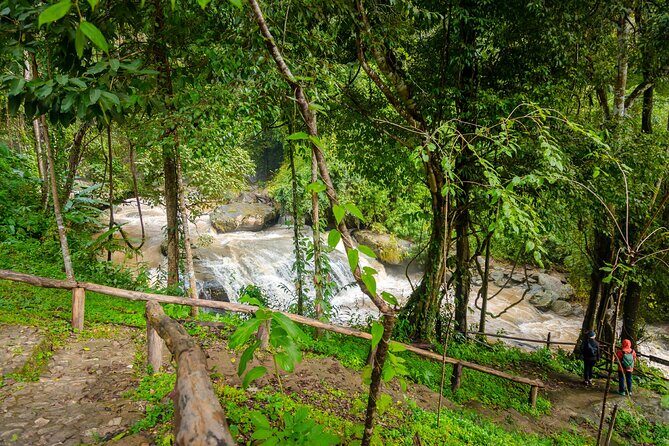 Pha Dok Siew Nature Trail & Doi Inthanon National Park From Chiang Mai - FAQs