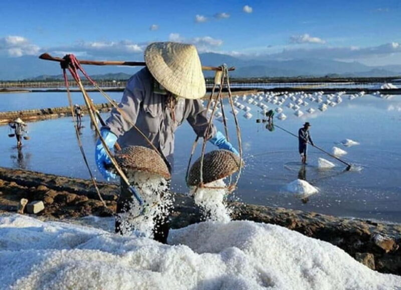 Phan Rang Full-Day: Hang Rai, Vinh Hy, Vineyard & Sheep Farm - Key Points