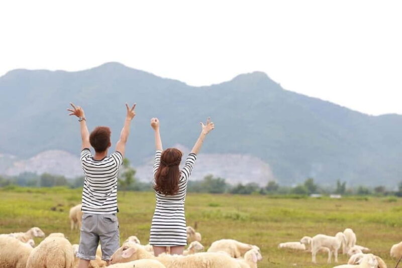 Phan Rang Full-Day: Hang Rai, Vinh Hy, Vineyard & Sheep Farm - The Itinerary Breakdown: What Each Stop Means for You