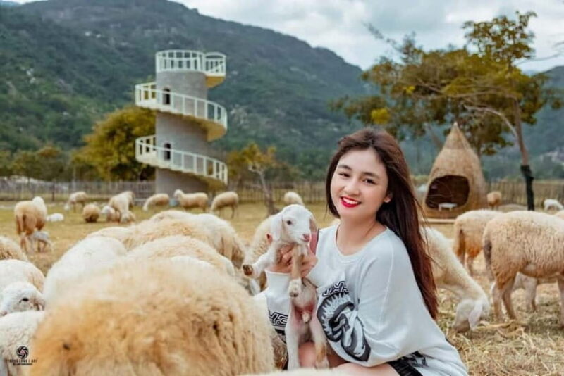 Phan Rang Full-Day: Hang Rai, Vinh Hy, Vineyard & Sheep Farm - Practical Tips for a Smooth Day