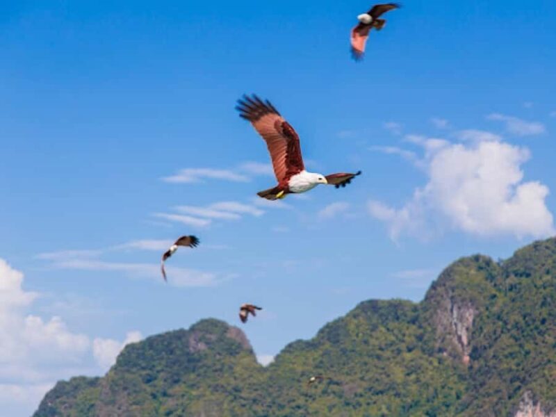 Phang Nga Bay and James Bond Island Boat Tour - A Closer Look at the Tour Experience