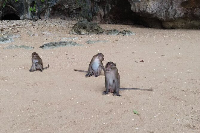 Phang Nga Bay Island Boat Tour By Speedboat By Phuket Sail Tours - Who Should Consider This Tour?