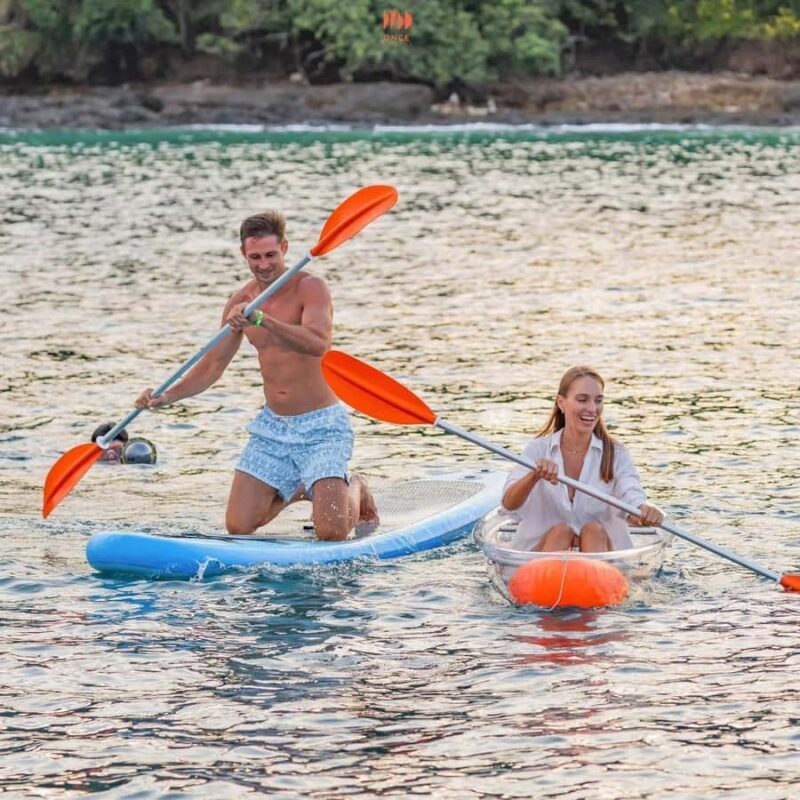 Phang Nga: Similan 4 Islands Day Trip with Dinner & Transfer - Key Points