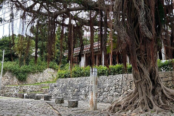 Phantom cafe tour in the Shuri by e-bike - Authentic Experiences and Local Insights