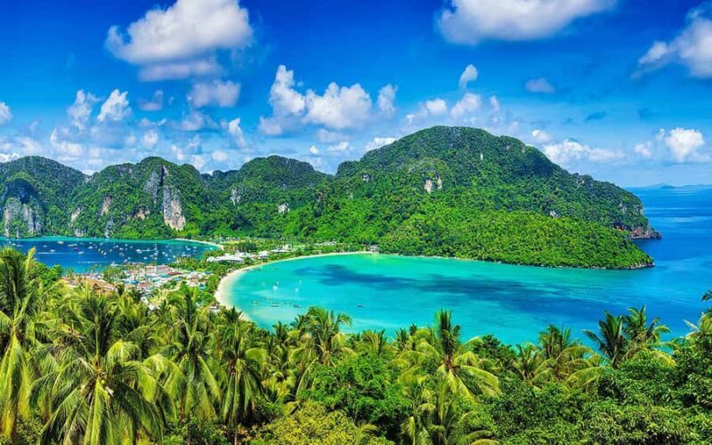 Phi Phi and Bamboo Islands Speedboat Tour with Fins - Key Points