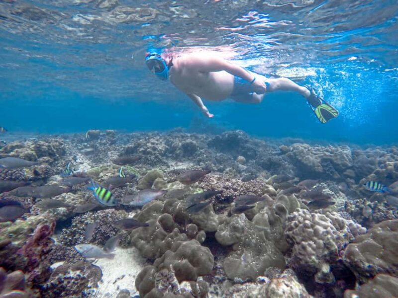 Phi Phi & Bamboo Islands: Premium Day Trip w/ Seaview Lunch - Key Points