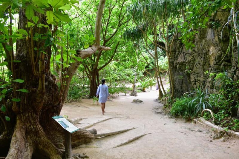 Phi Phi Don: Cove Collector's Private Half-Day Island Escape - FAQ