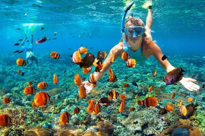 Phi Phi Half Day Tour Speed Boat Tour - Key Points