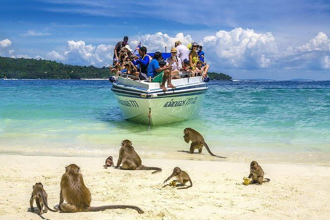 Phi Phi Island Big Boat Tour  Snorkeling & Sightseeing Adventure - What Travelers Say