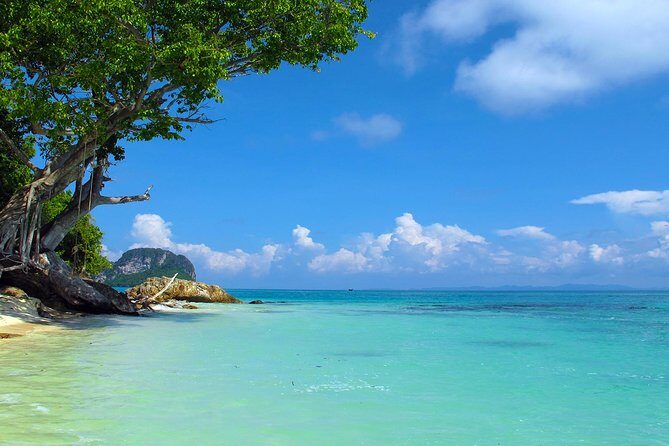 Phi Phi Island by Premium Speedboat with Lunch from Phuket - FAQs