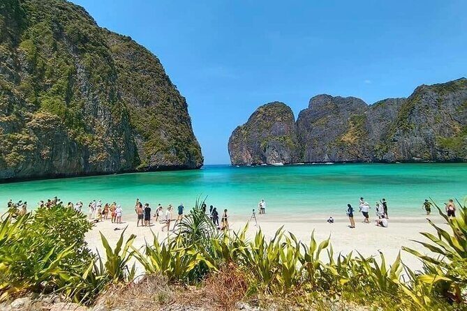 Phi Phi Island day trip #Maya Bay #Snorkeling#Lunch# Paddle Boat - Authentic Reviews & Highlights