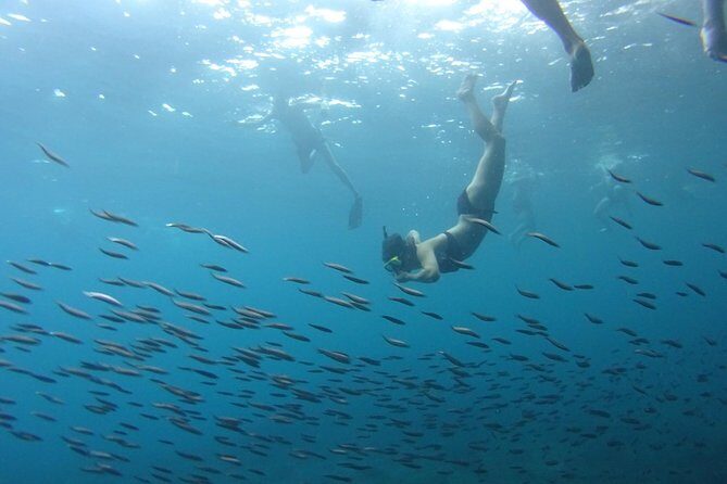 PHI PHI ISLAND - Sunrise Trip From Phi Phi Don By Phi Phi Local Tour - FAQ