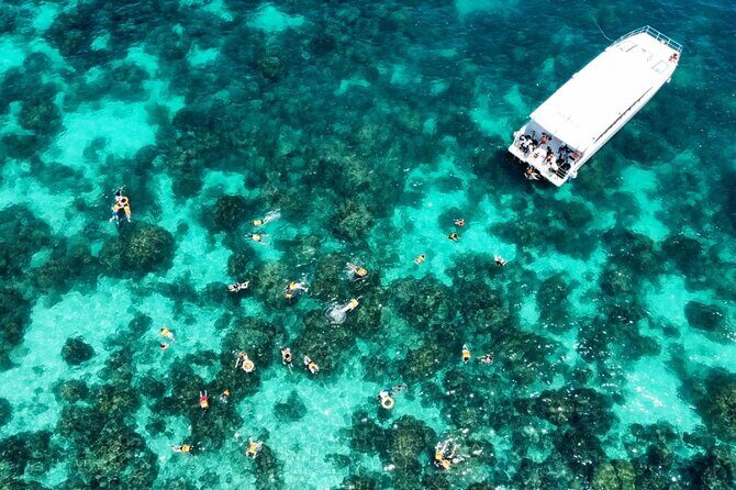 Phi Phi Islands Maya Island and Bamboo Beach Speedboat Day Tour - Real Travelers’ Perspectives