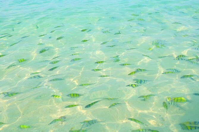 Phi Phi Islands One Day Tour by Speedboat From Phuket - The Experience: What It Feels Like