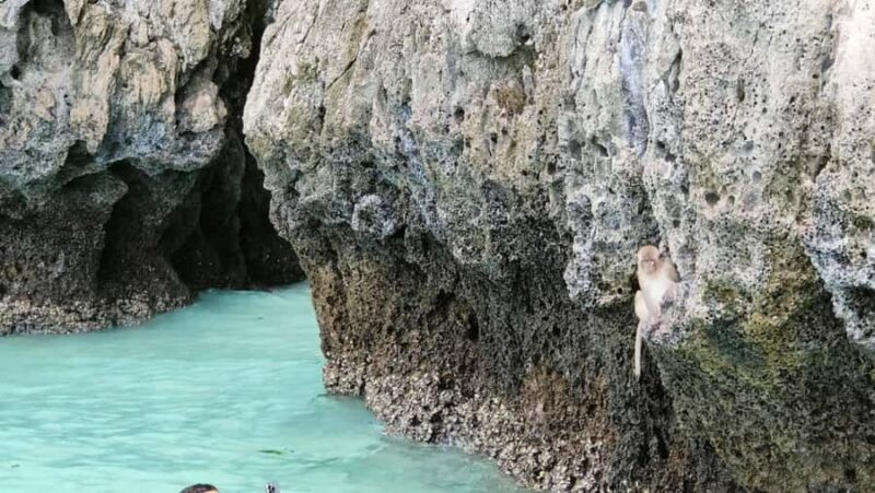 Phi Phi Islands: Private Longtail Boat 6-hour Trip - Why Choose This Tour?