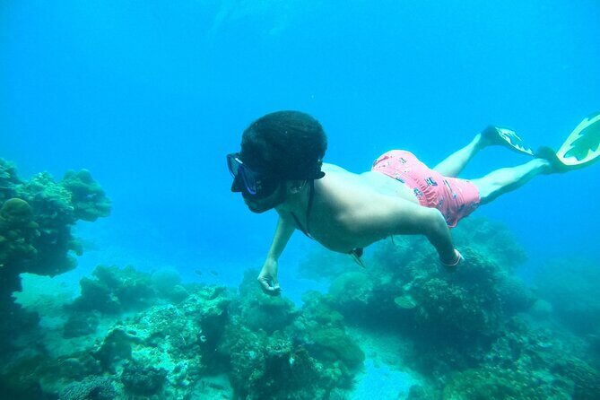 Phi Phi & Khai Islands Speedboat Tour from Phuket with Snorkeling - Key Points