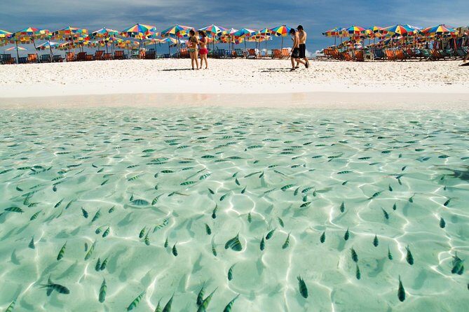 Phi Phi , Maya Bay, Khai Island great snorkeling Tour - What Makes This Tour Stand Out
