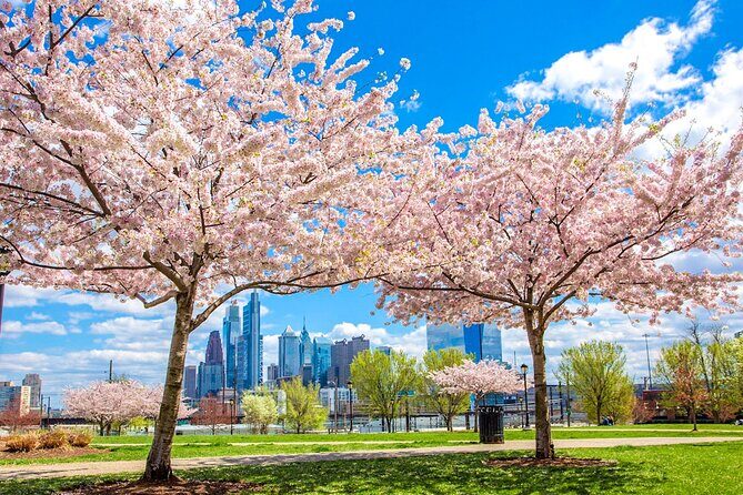 Philadelphia Cherry Blossom 1-Day Tour from New York - Detailed Exploration of the Philadelphia Cherry Blossom Day Trip