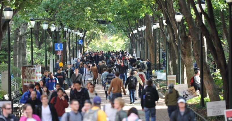 Philadelphia: UPenn Campus Walking Tour & Museum Ticket - What to Expect from the UPenn Campus Walking Tour