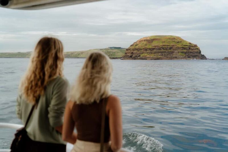 Philip Island: Seal Watching Cruise - Key Points