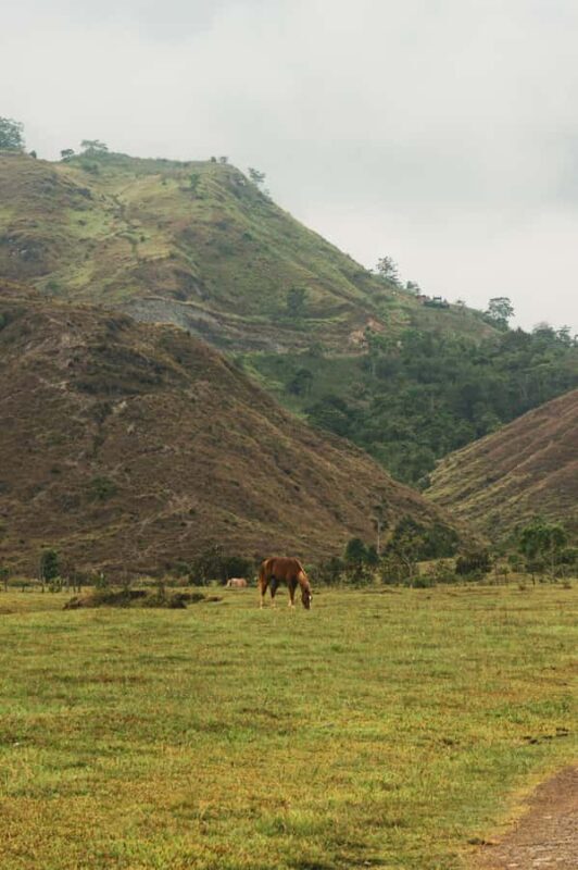 Philippines, Bukidnon Private Horseback Ride & Tribal Picnic - Authenticity and Customer Feedback