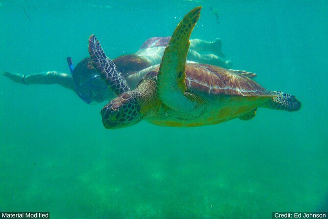 Philippines: See & Experience it ALL in 14 Days, 1st Class Custom Tours - Exploring Bohol’s Landmarks: The Real Highlights