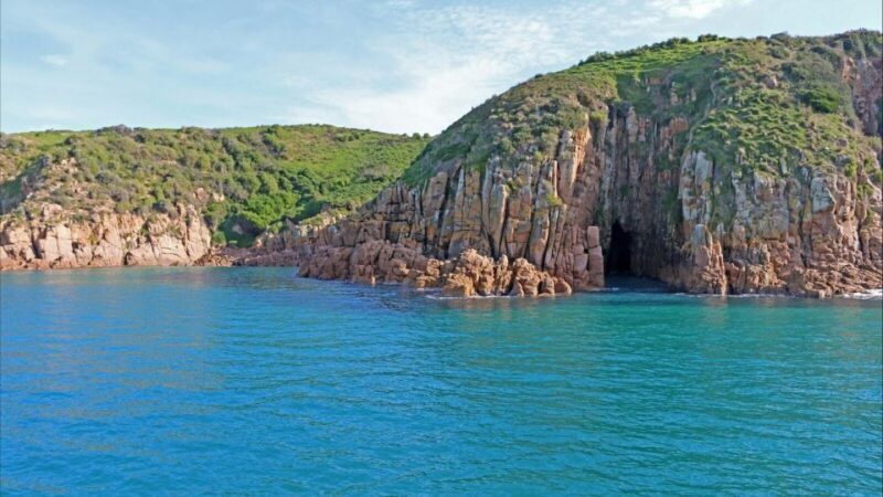 Phillip Island: 1-Hour Cape Woolamai Scenic Cruise - What You Can Expect on This Scenic Cruise