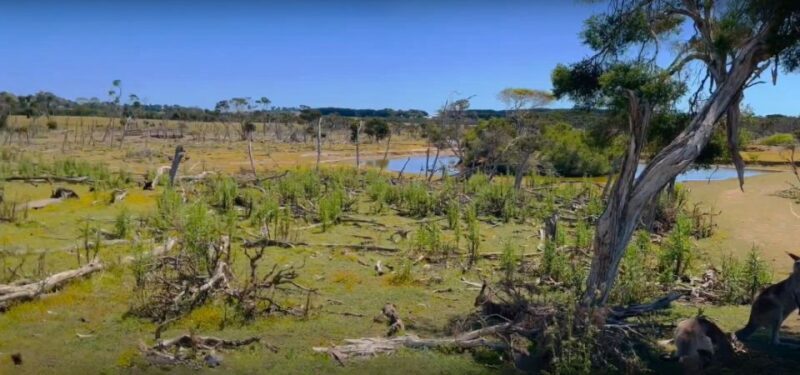 Phillip Island Driving Tour with an APP - Starting Point and Basic Setup
