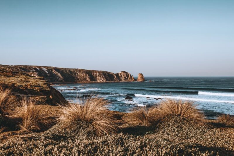 Phillip Island: Hike and Penguin Parade - 8 pax Small Tour - A detailed look at the experience