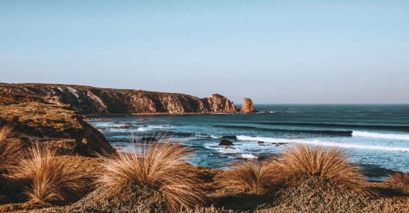 Phillip Island: Hike and Penguin Parade - 8 pax Small Tour - Practical Advice and Tips