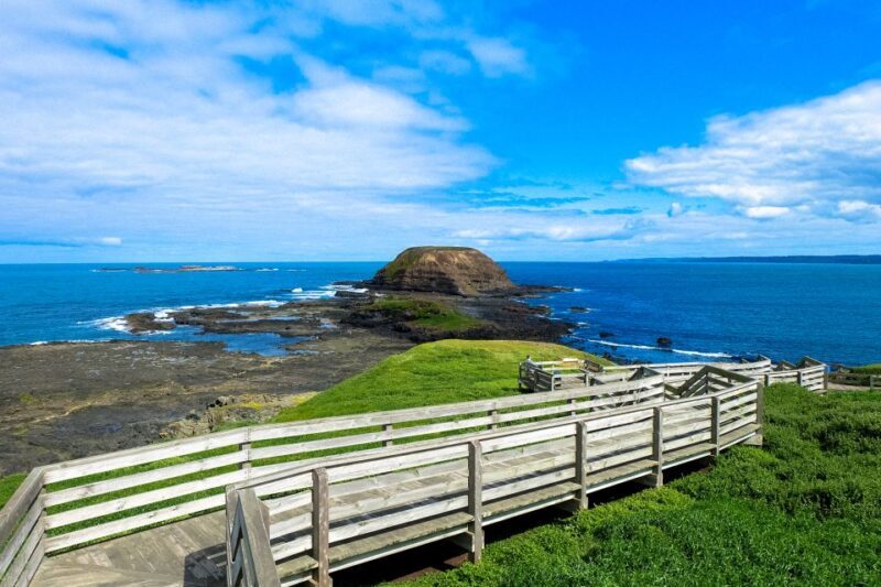 Phillip Island: Hike and Penguin Parade - 8 pax Small Tour - Frequently Asked Questions