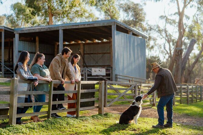 Phillip Island Hop on Hop off Bus - FAQ