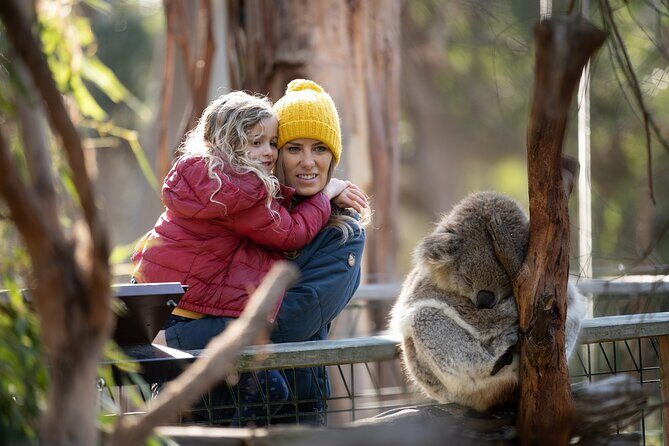 Phillip Island Penguin and Koala Highlights Day-Trip from Melbourne - An Introduction to Phillip Island’s Wildlife and Scenery