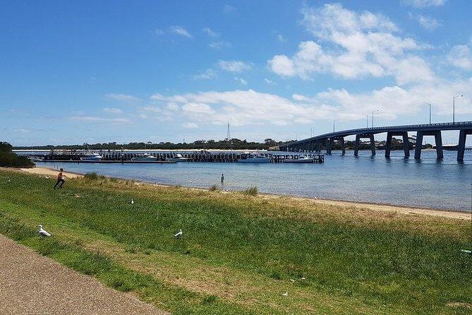 Phillip Island Penguin and wildlife Tour - Final Thoughts