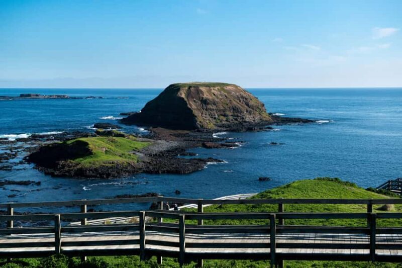 Phillip Island Penguin Direct Sunset Tour - Key Points