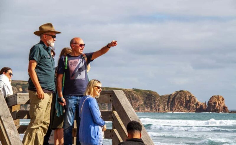 Phillip Island Penguin Parade Afternoon Tour from Melbourne - Who Will Love This Tour?