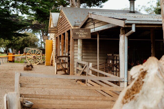 Phillip Island Penguin Parade and Churchill Island Farm Bus Tour - Frequently Asked Questions