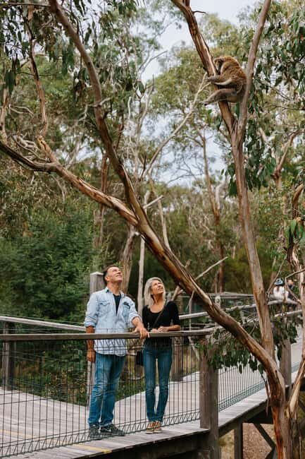 Phillip Island: Penguin Parade and Multi Attraction Pass - FAQ
