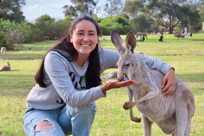 Phillip Island Penguin Parade and Wildlife Tour from Melbourne - Exploring the Itinerary: What Makes Each Stop Special