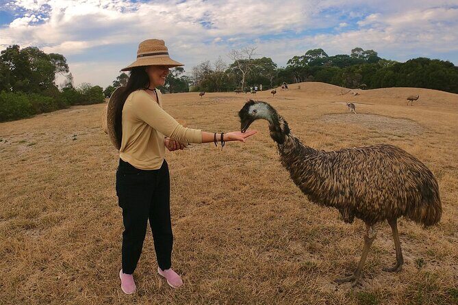 Phillip Island Penguin Parade and Wildlife Tour from Melbourne - Authentic Experiences and Highlights