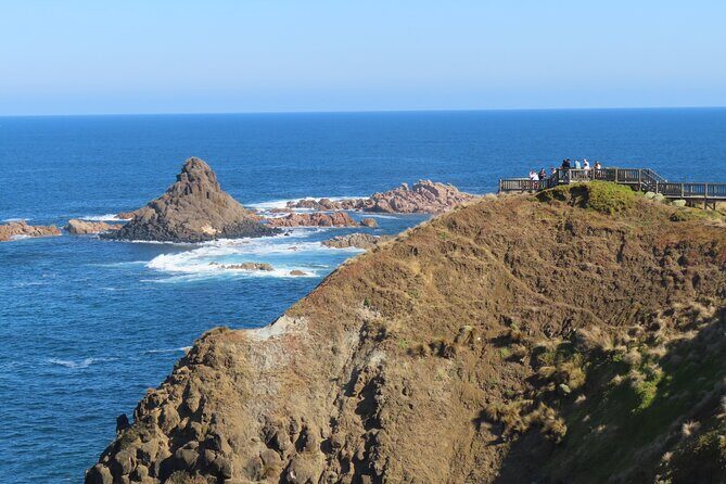 Phillip Island Penguin Parade and Wildlife Tour from Melbourne - The Sum Up