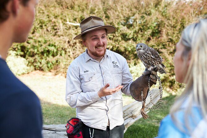 Phillip Island Penguin Parade, Wildlife and Beach Boxes Bus Tour - Who is this tour best suited for?