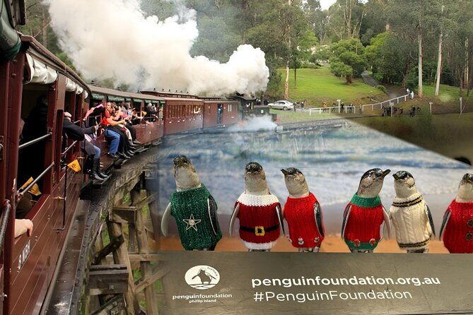 Phillip Island Penguins & Wildlife Day Tour from Melbourne - Final Verdict