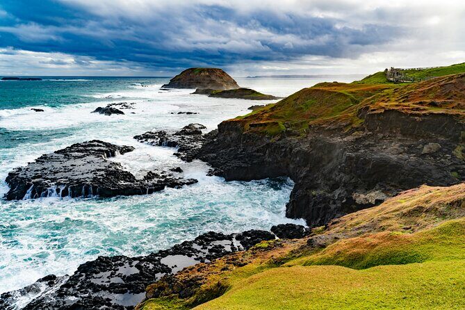 Phillip Island Private Tour: Penguin Parade & Wildlife Day - Key Points